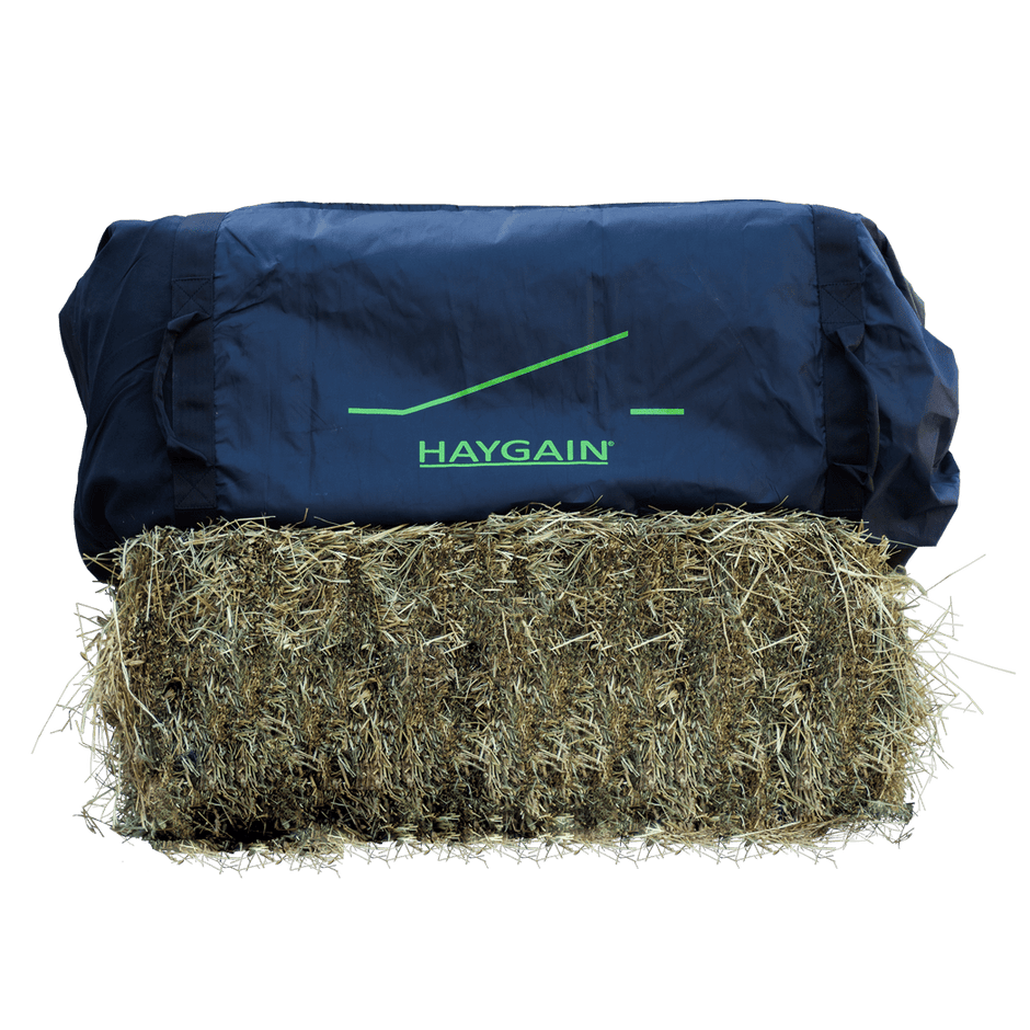 Equine Hay Steamers for Horses - Haygain – Haygain USA